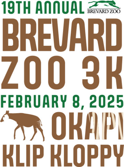 02/08/2025, Brevard Zoo's Okapi Klip Kloppy 3K, Melbourne, FL - Running ...